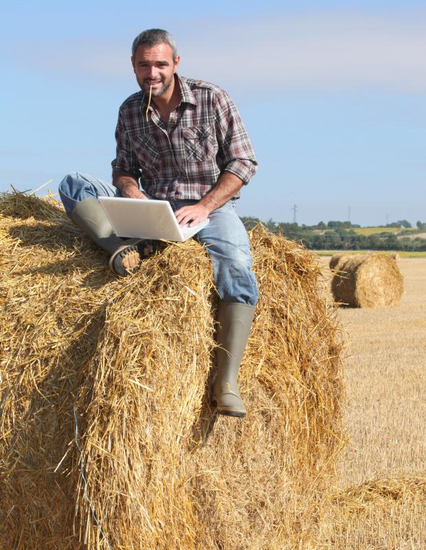 What is Farm Management? (with pictures)