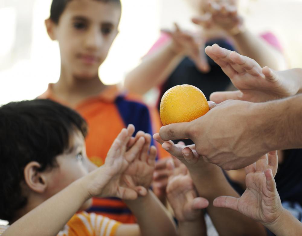 What Are The Different Types Of NGO Projects with Pictures 