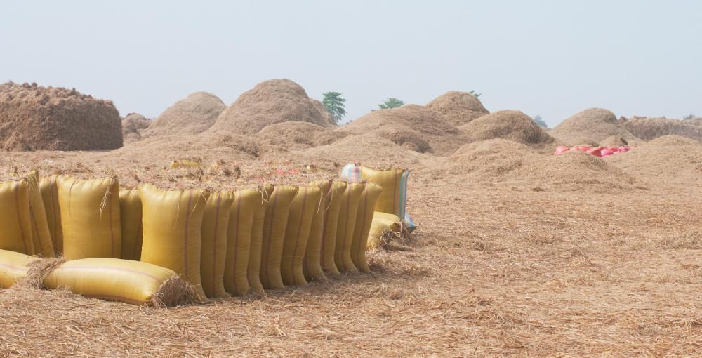 What Is a Non-Market Economy? (with picture)