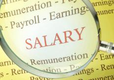 What Is the Difference between Salary and Remuneration? Examples & More